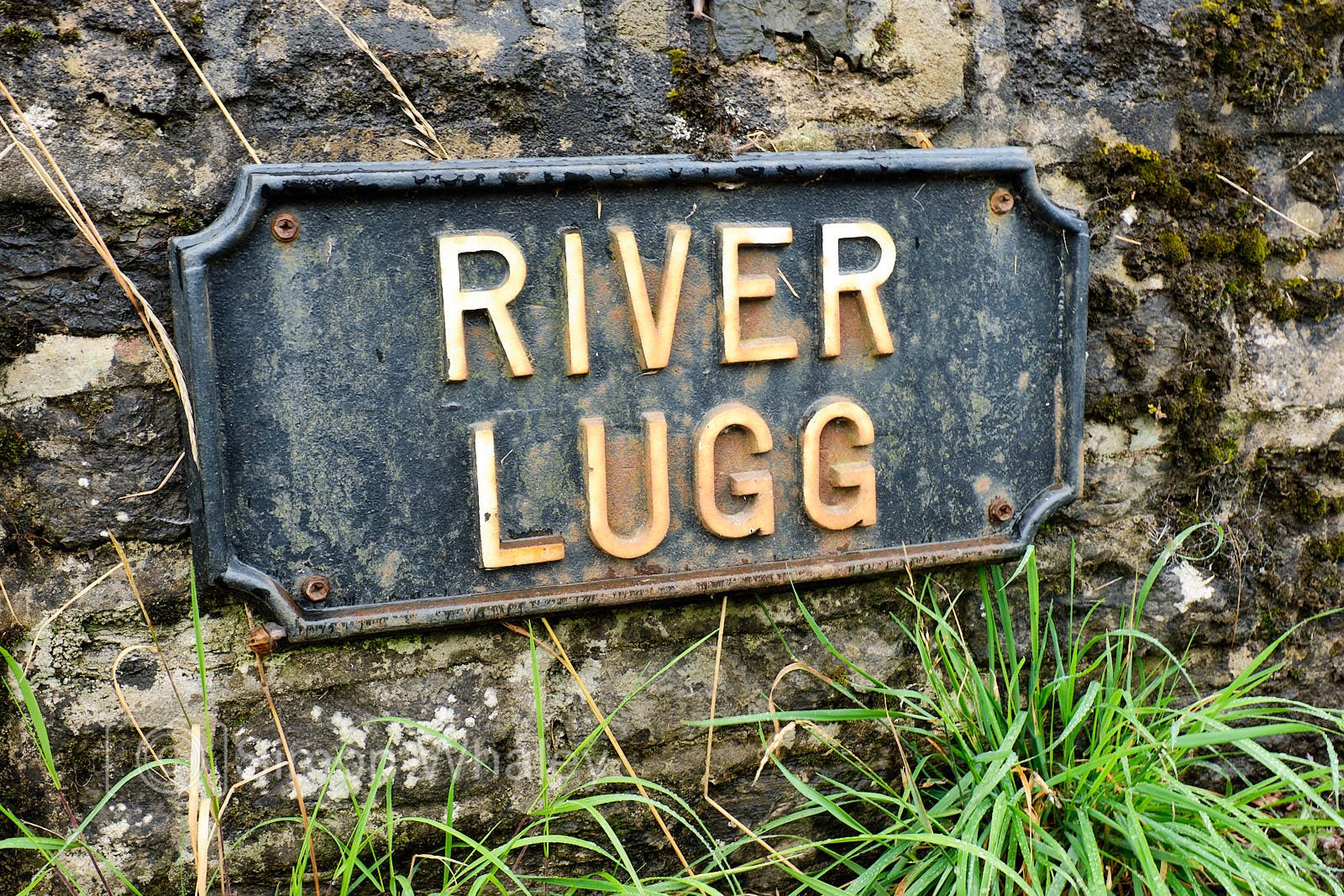 Wandering Around Whitton – SIMON WHALEY