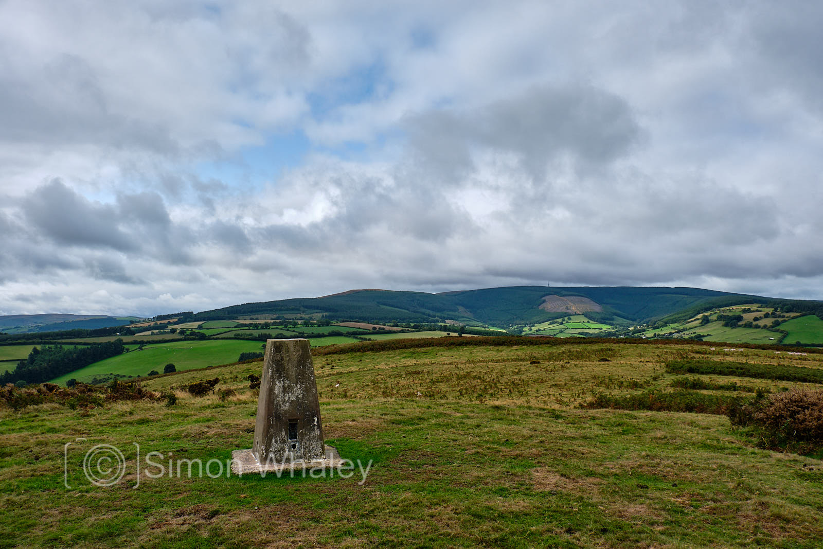 Wandering Around Whitton – SIMON WHALEY