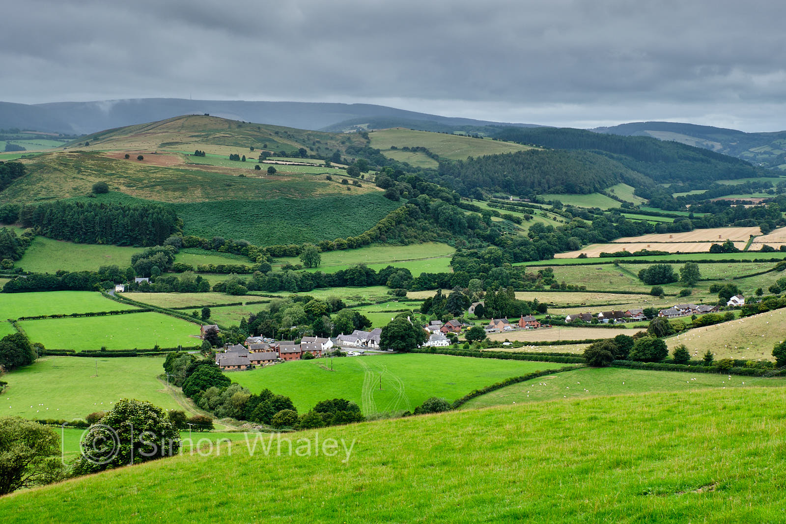 Wandering Around Whitton – SIMON WHALEY