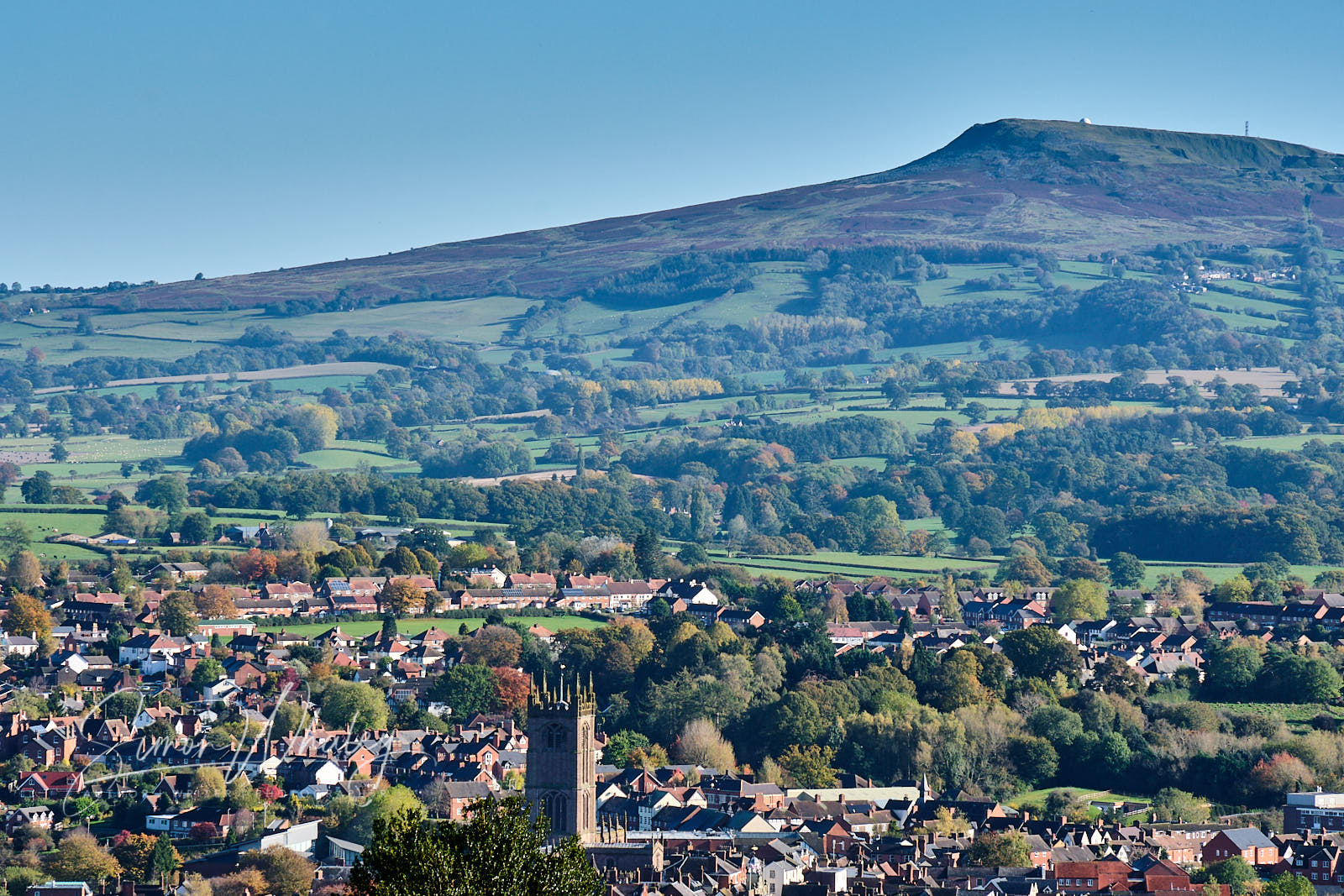 Lower Whitcliffe and Wheelers Vallets – SIMON WHALEY