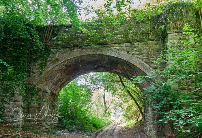 River Onny and Hopesay Hill – SIMON WHALEY