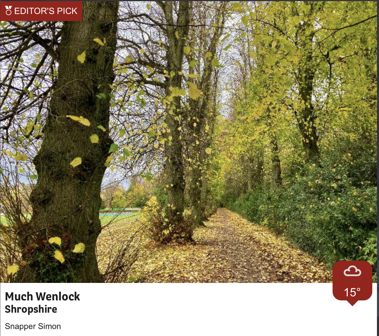 Autumnal Snapper – SIMON WHALEY