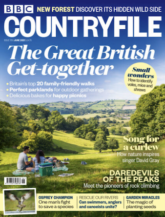 Onny Meadows – SIMON WHALEY