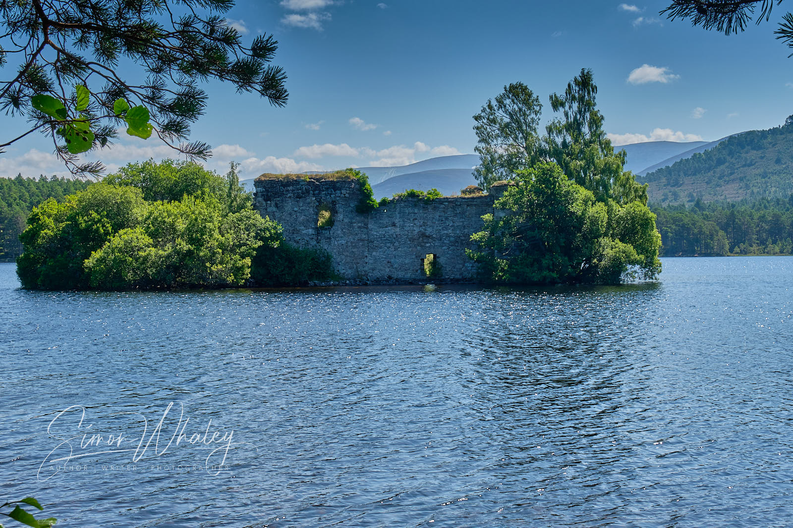Rothiemurchus Estate – SIMON WHALEY